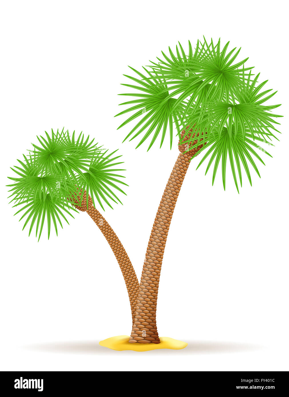 palm tree illustration isolated on white background Stock Photo - Alamy