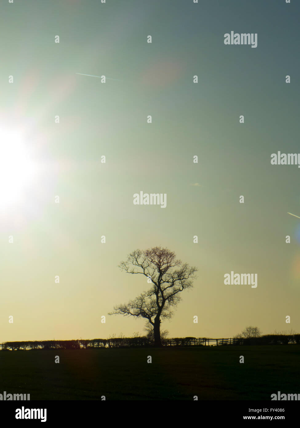 Late night sky hi-res stock photography and images - Alamy