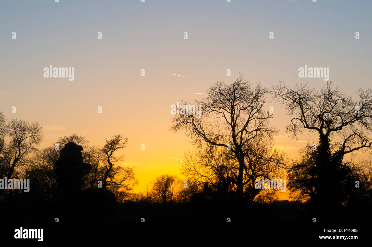 Sunset behind trees Stock Photo - Alamy