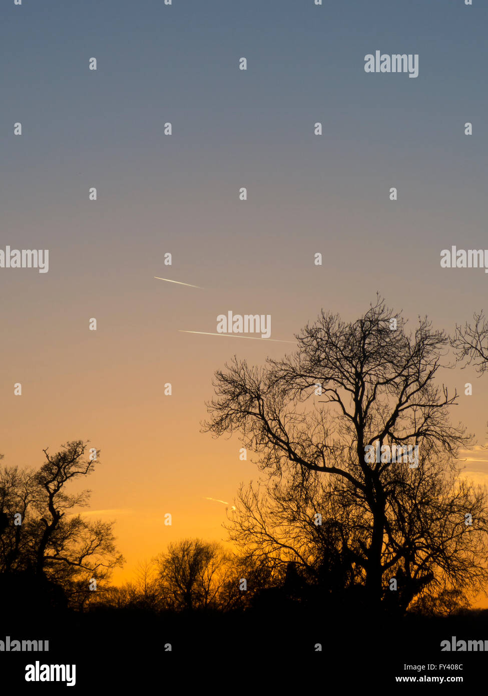 Portrait night sky hi-res stock photography and images - Alamy