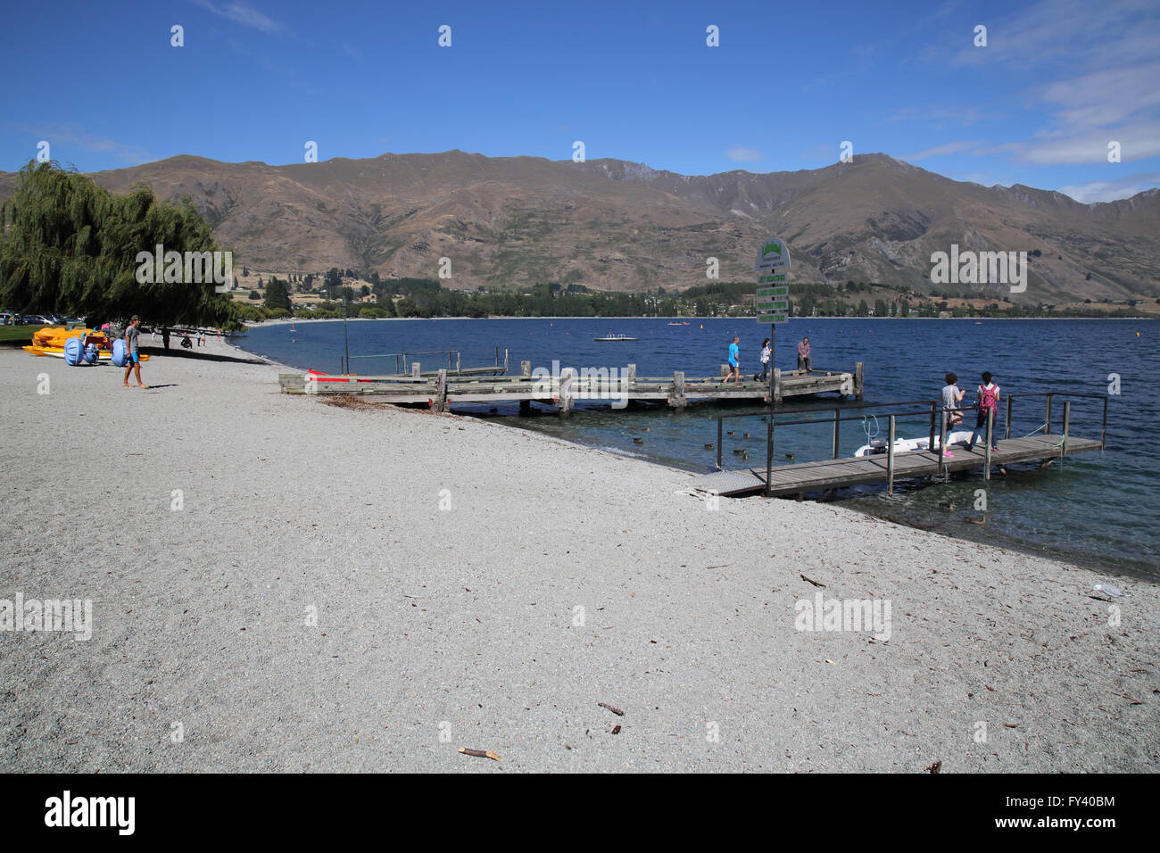 beach on wanaka lake on the south island of new zealand Stock Photo - Alamy