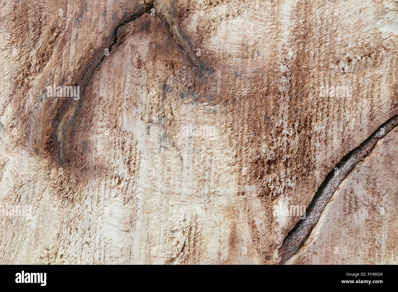 Old wood texture for the design background Stock Photo - Alamy