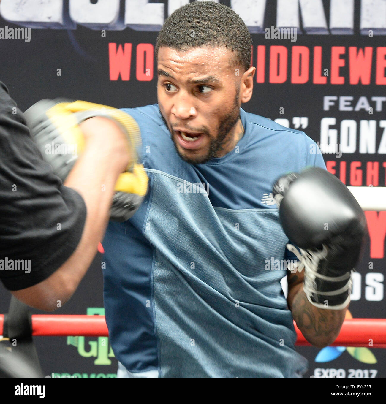 Dominic wade hi-res stock photography and images - Alamy