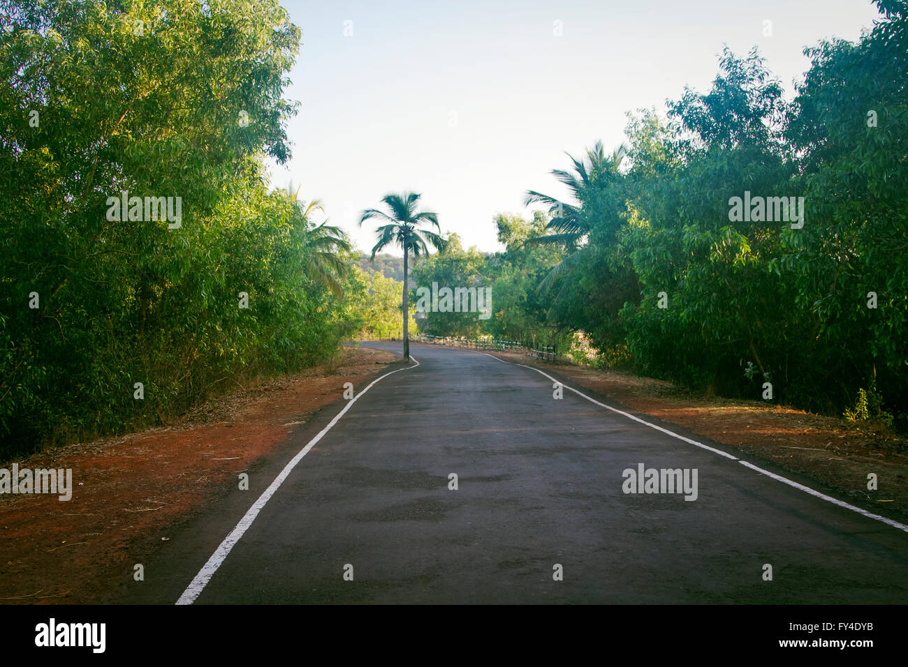 Empty road in Goa India at sunny day Stock Photo - Alamy