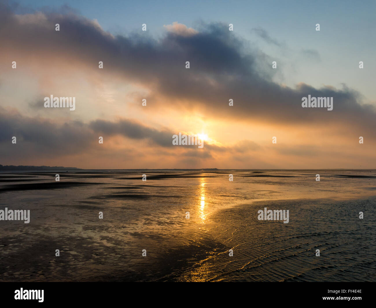 Sunset and low tide over wetlands near the port of Rotterdam in South ...