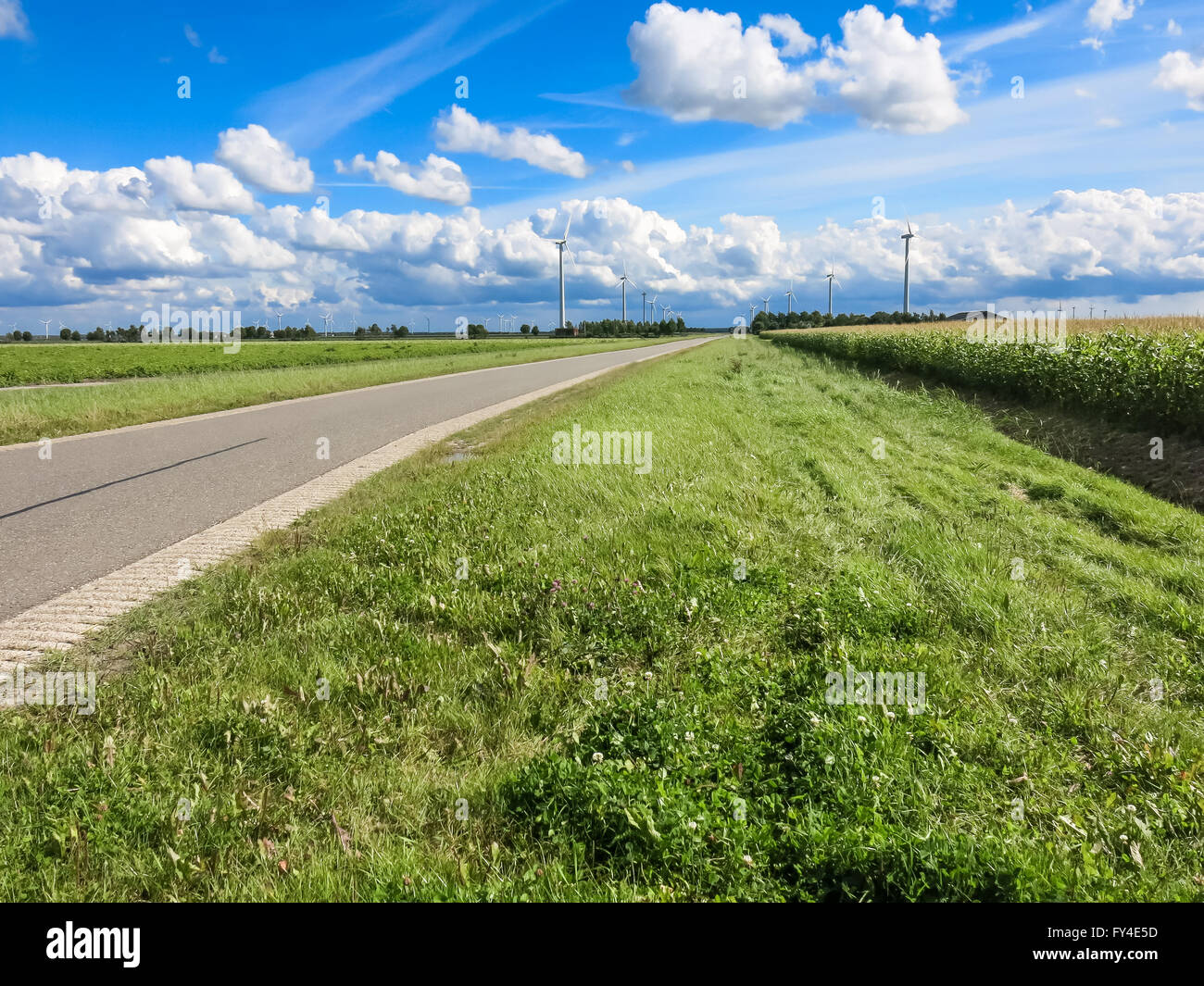 Polder scenery hi-res stock photography and images - Alamy