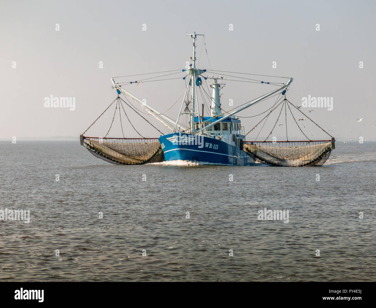 Shrimp trawler fishing on the Wadden Sea in the Netherlands Stock Photo ...