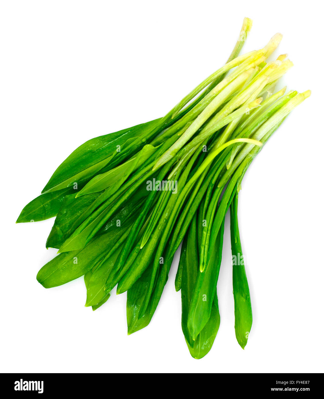 Wild onion grass Cut Out Stock Images & Pictures - Alamy