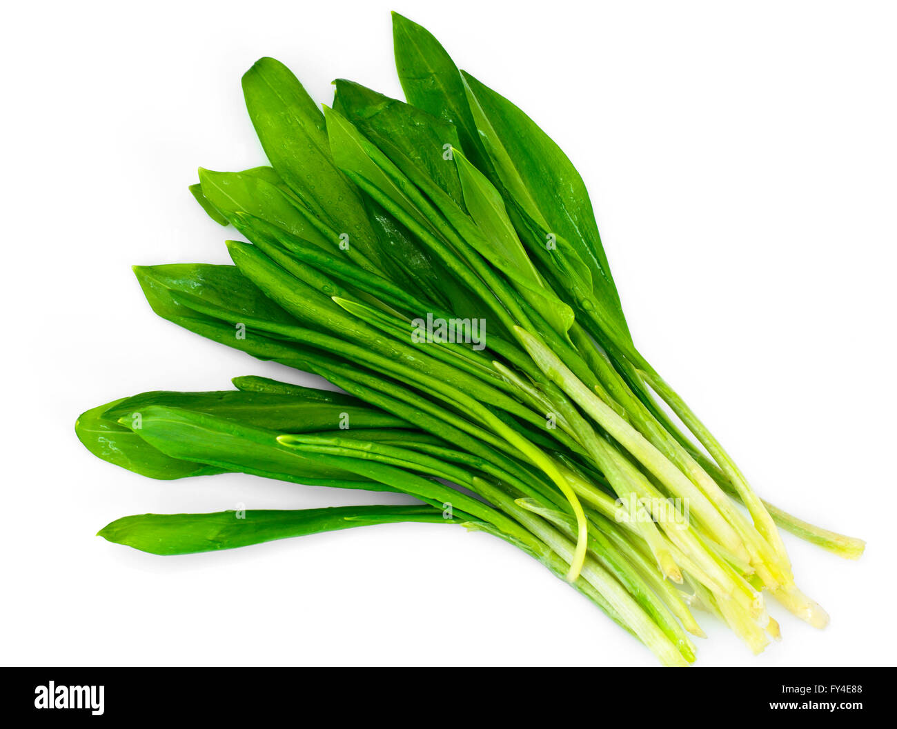 Wild onion grass Cut Out Stock Images & Pictures - Alamy
