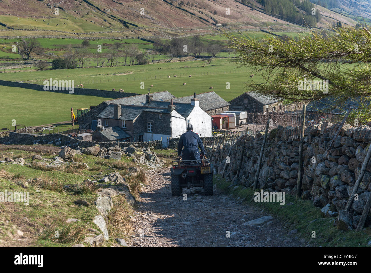Stool End farm at the head of The Langdale valley in Cumbria Stock ...