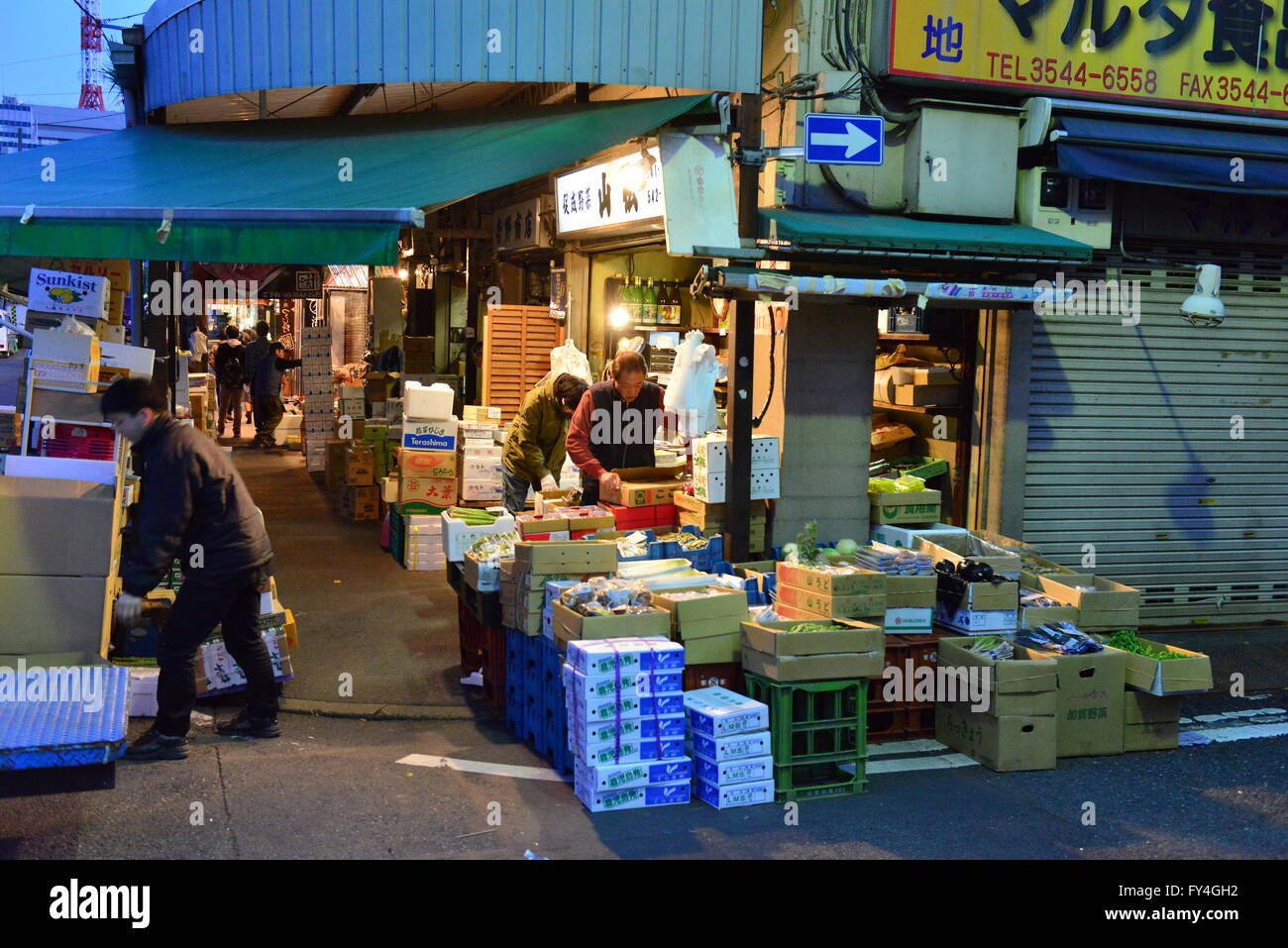 Tsukiji Fish Market, Tokyo, Japan Stock Photo - Alamy