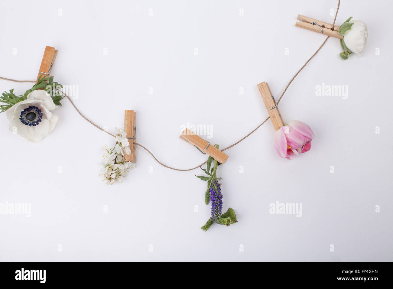 Visit card hi-res stock photography and images - Alamy