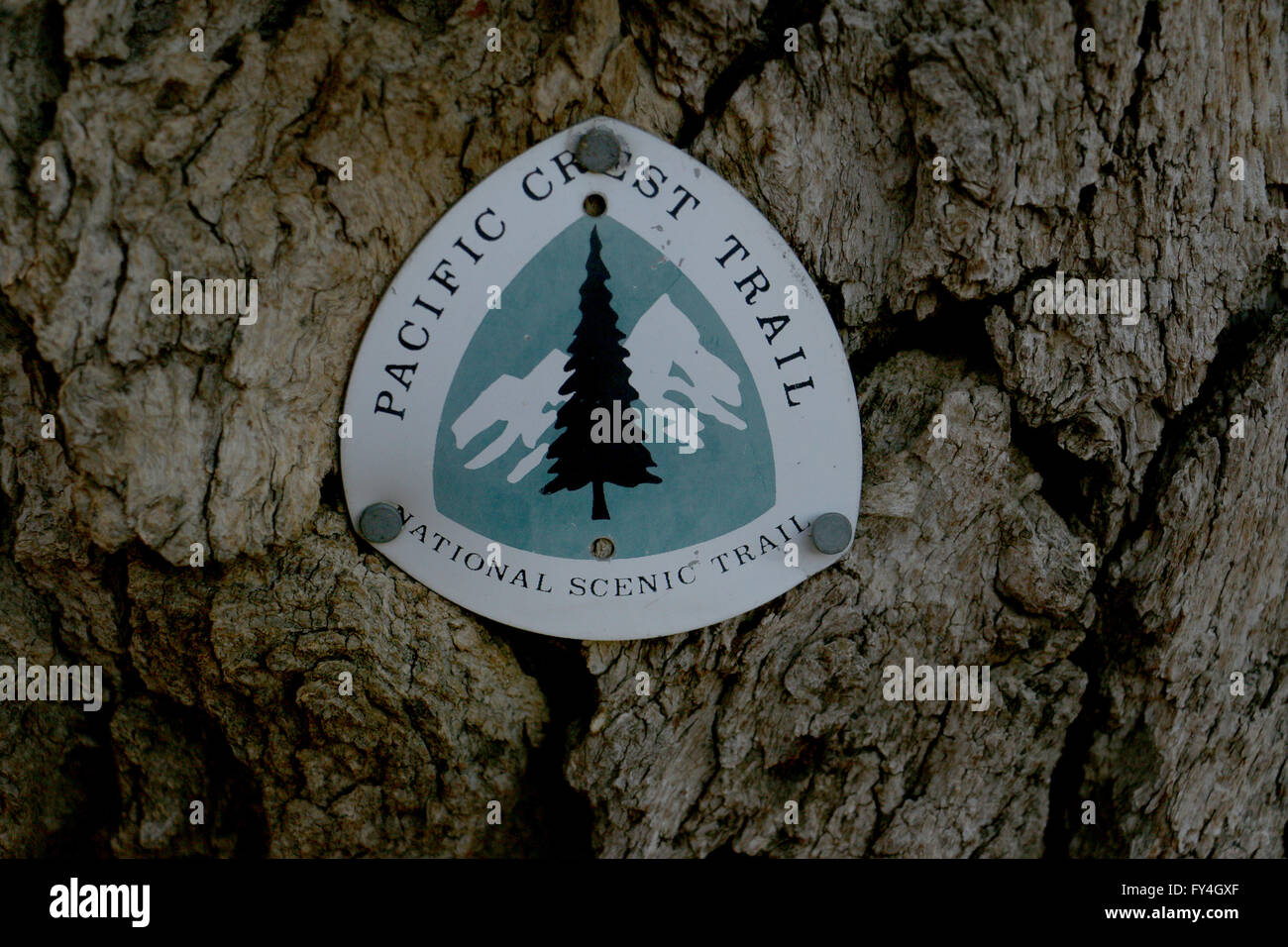 Tree in trail hi-res stock photography and images - Alamy