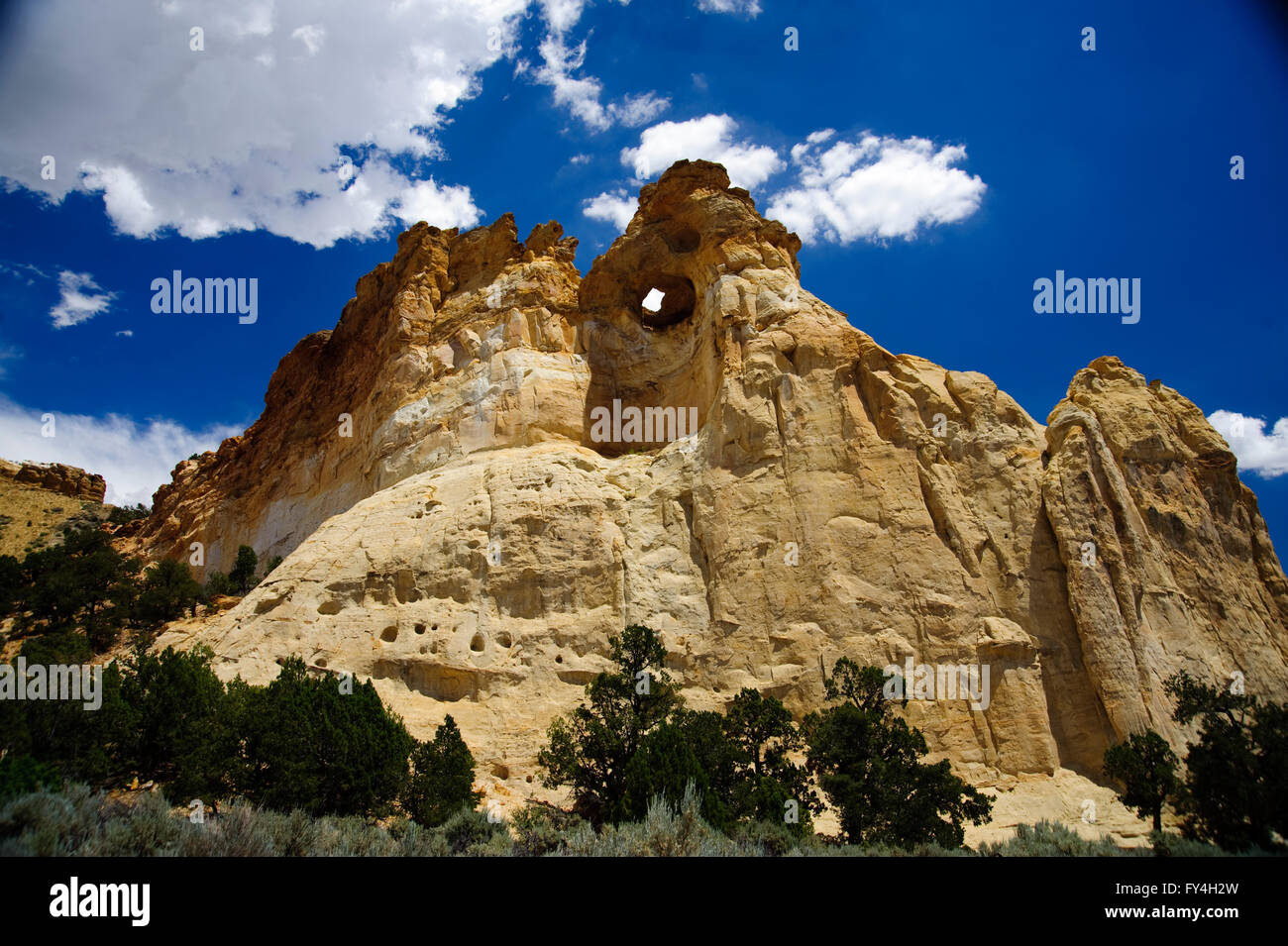 THe back side of Grosvenor's Arch with evergreen trees in the ...