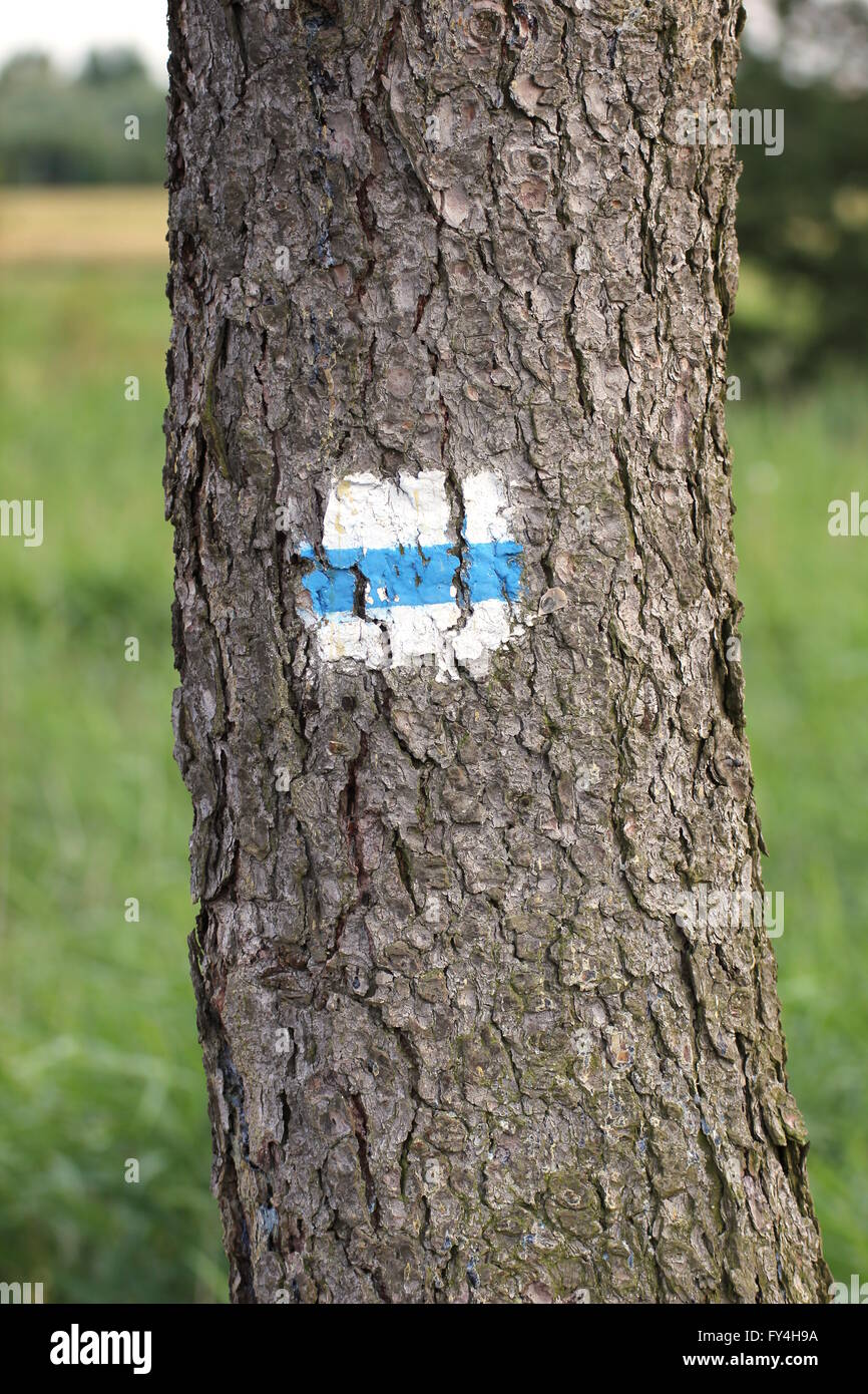 Typical hiking path marking on a tree in Germany Stock Photo - Alamy