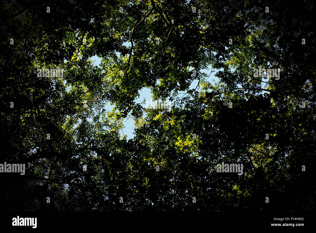 Vignetting hi-res stock photography and images - Alamy