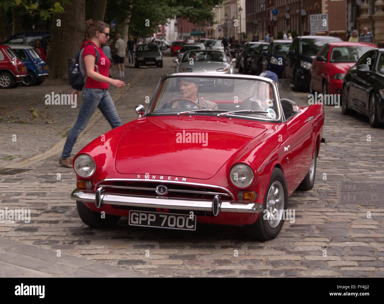 Sunbeam tiger hi-res stock photography and images - Alamy
