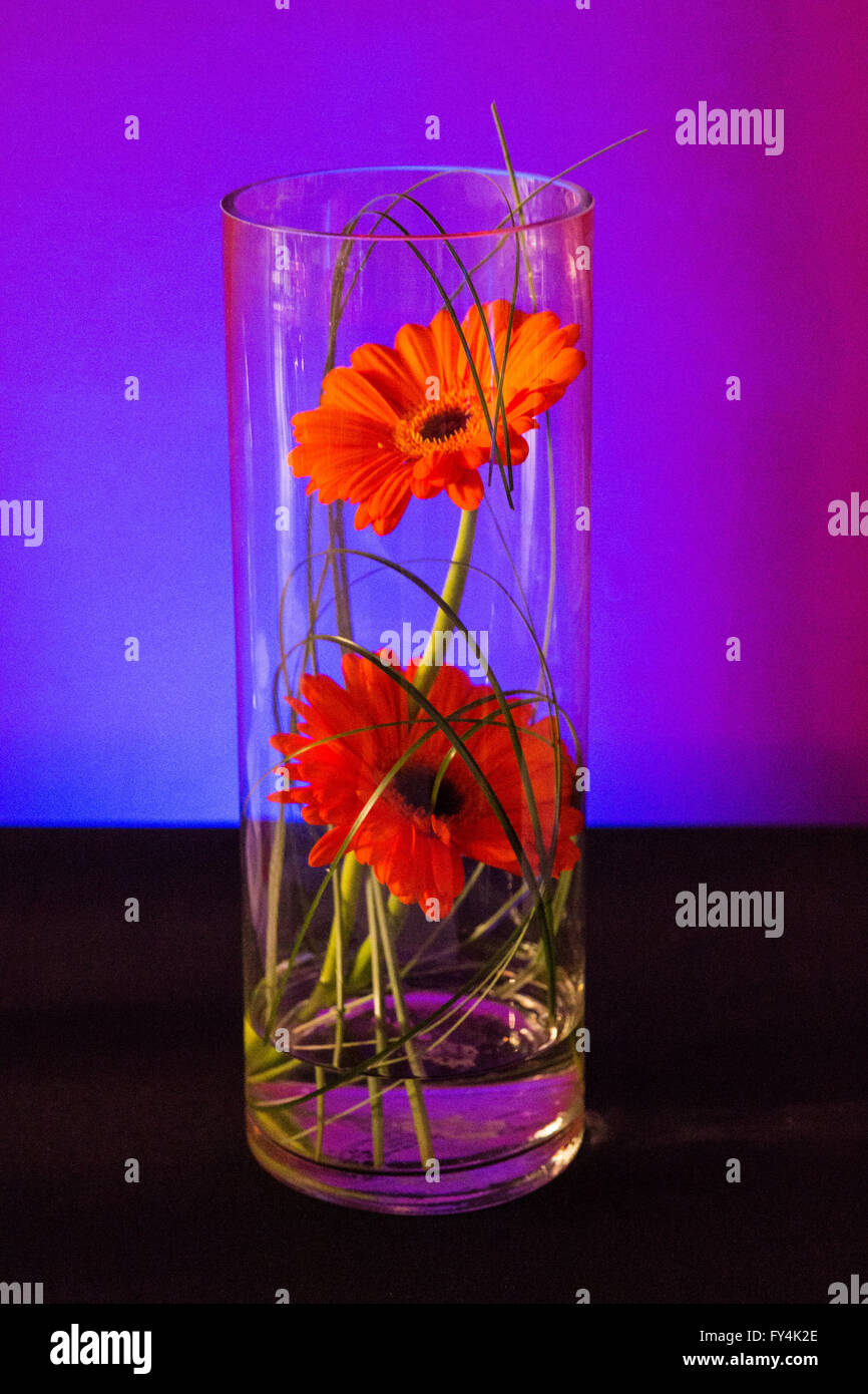 Bold centerpiece hi-res stock photography and images - Alamy