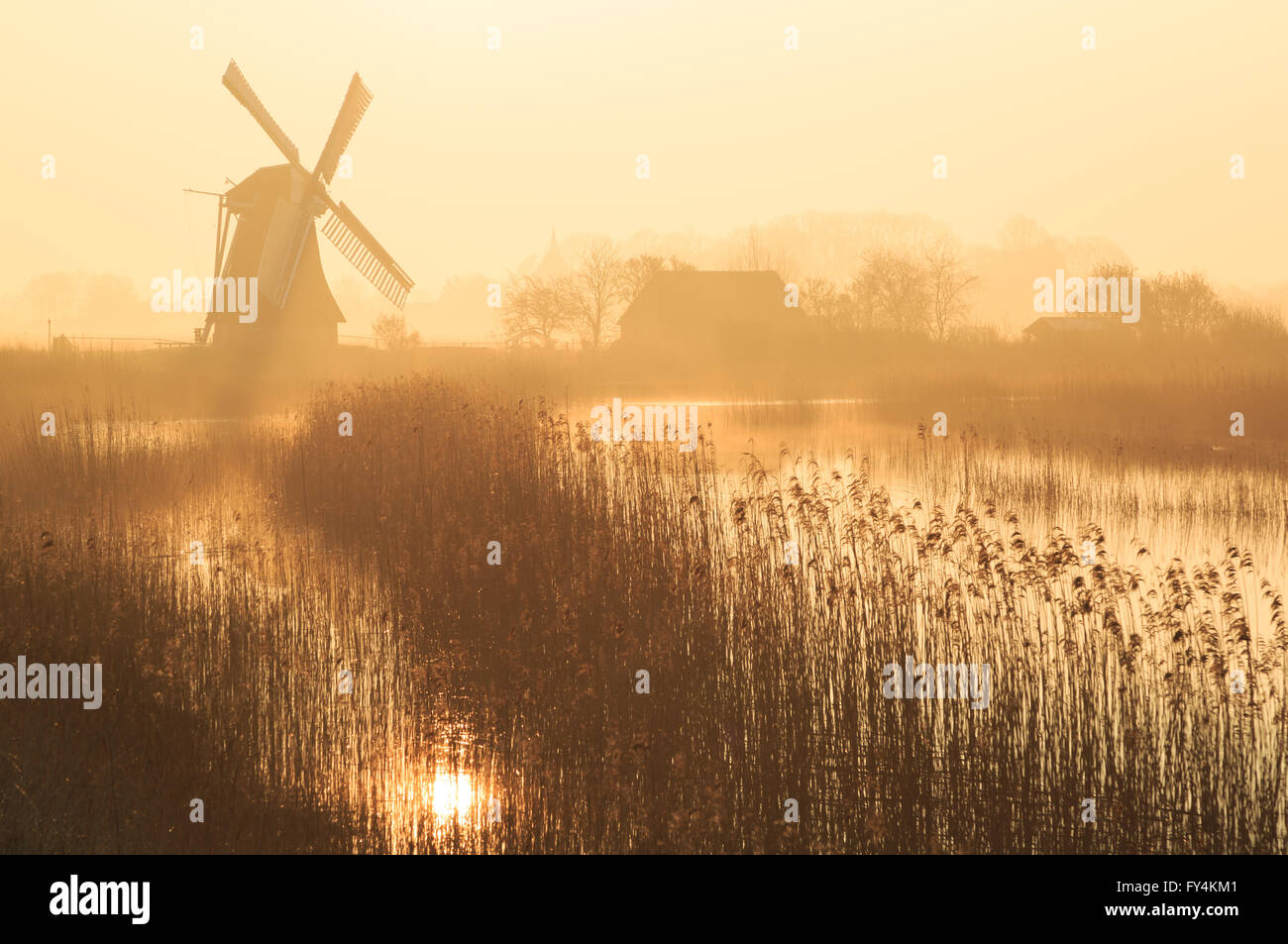 Dutch sunrise with traditional windmill in the wetlands and spring fog ...