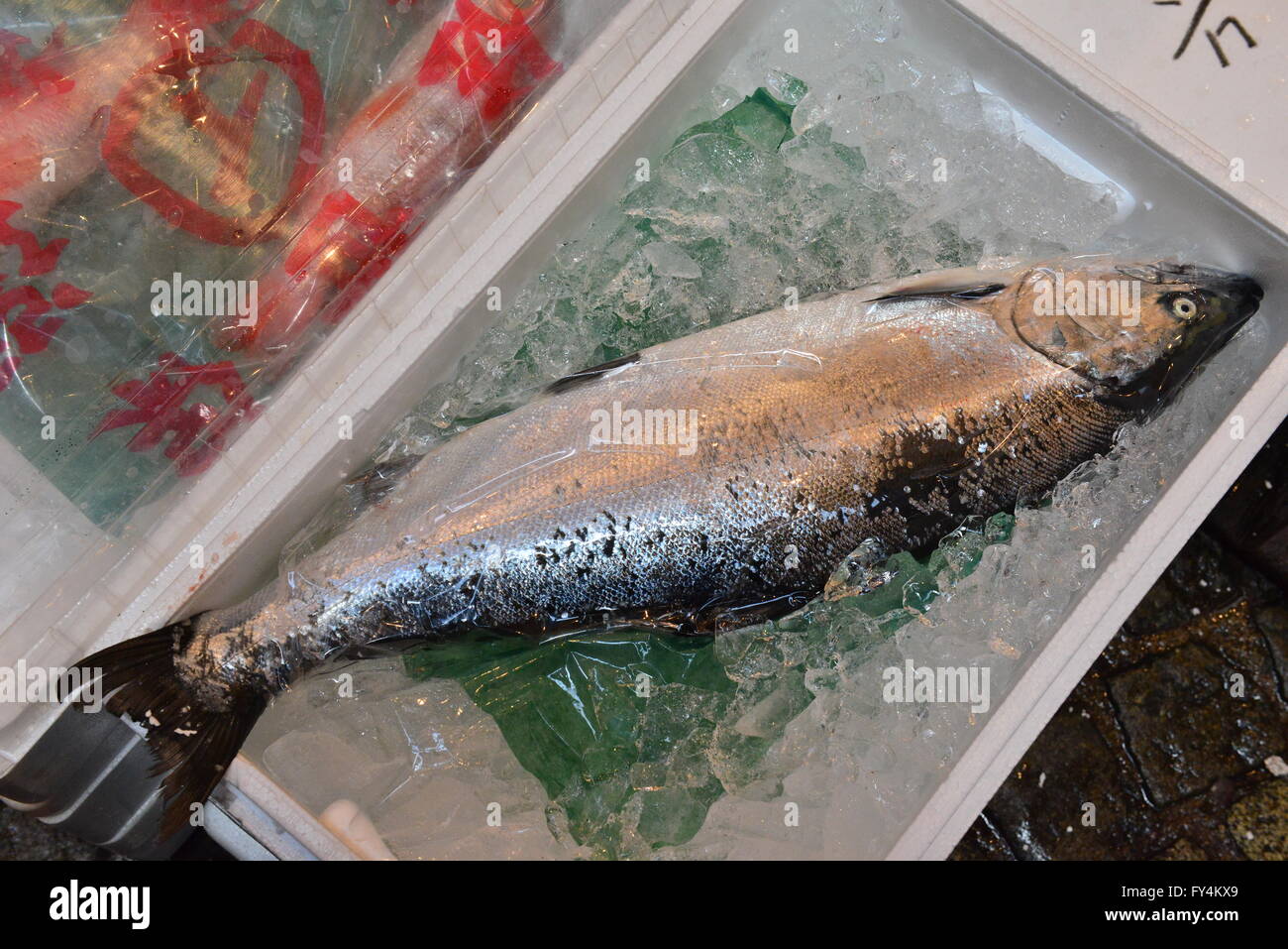 Tsukiji Fish Market, Tokyo, Japan Stock Photo - Alamy