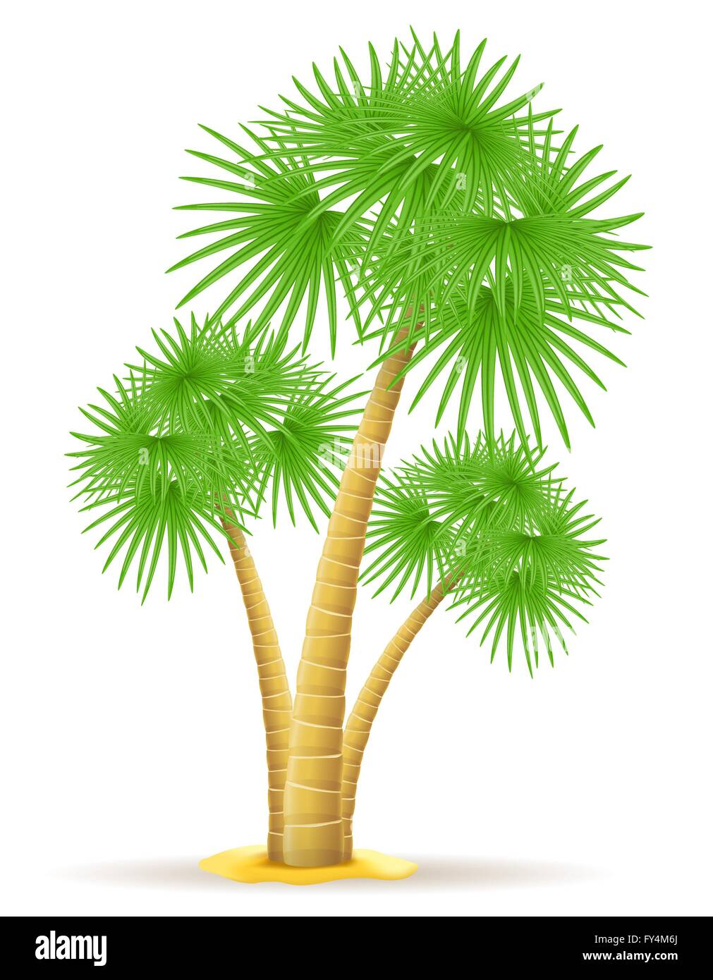 palm tree vector illustration isolated on white background Stock Vector ...