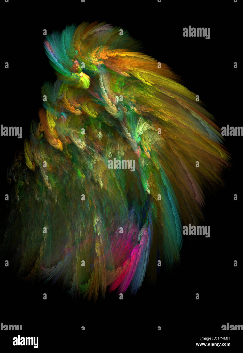 Infinite birds hi-res stock photography and images - Alamy