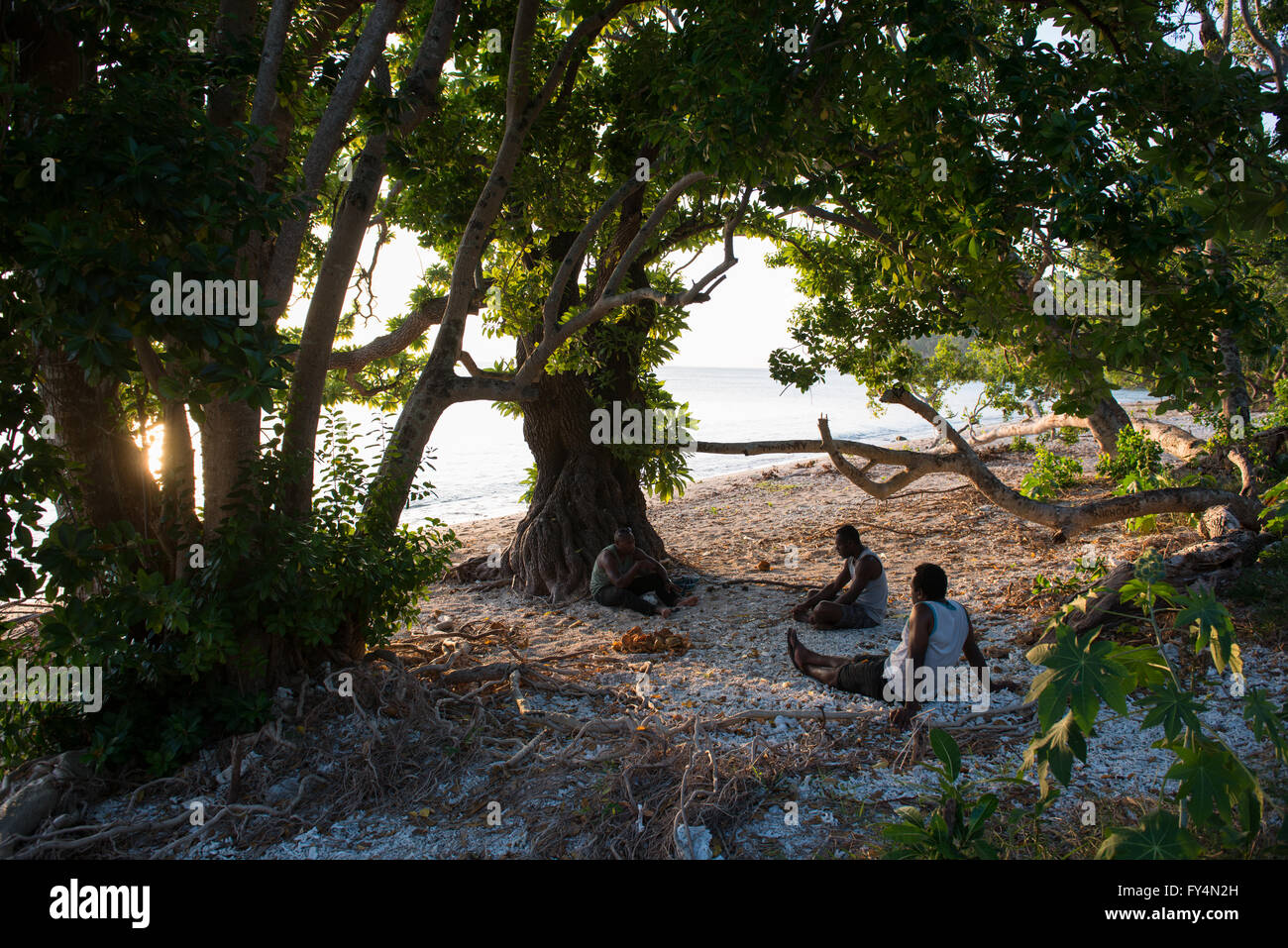 Pacific islander men hi-res stock photography and images - Alamy