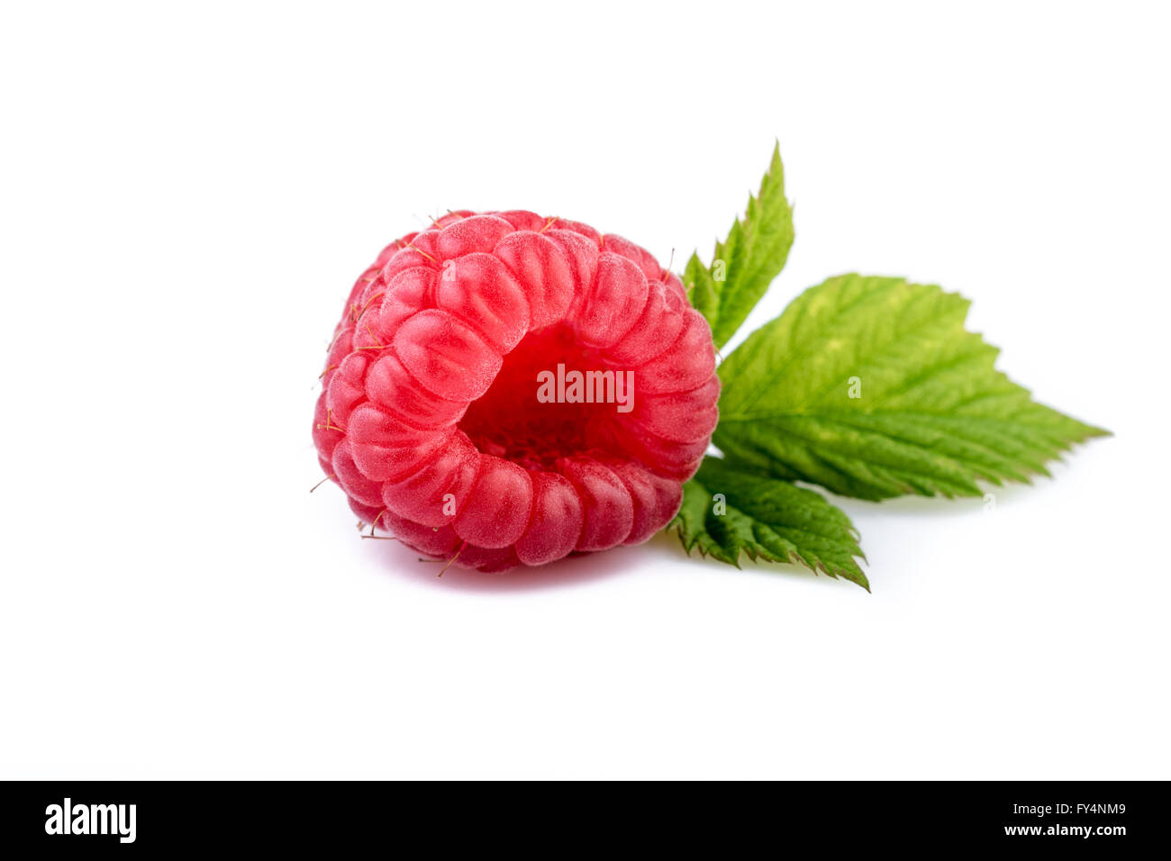 one raspberry isolated on white Stock Photo - Alamy