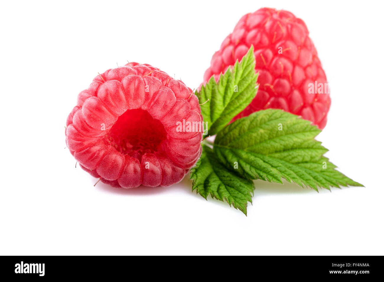 Raspberry close up Stock Photo - Alamy