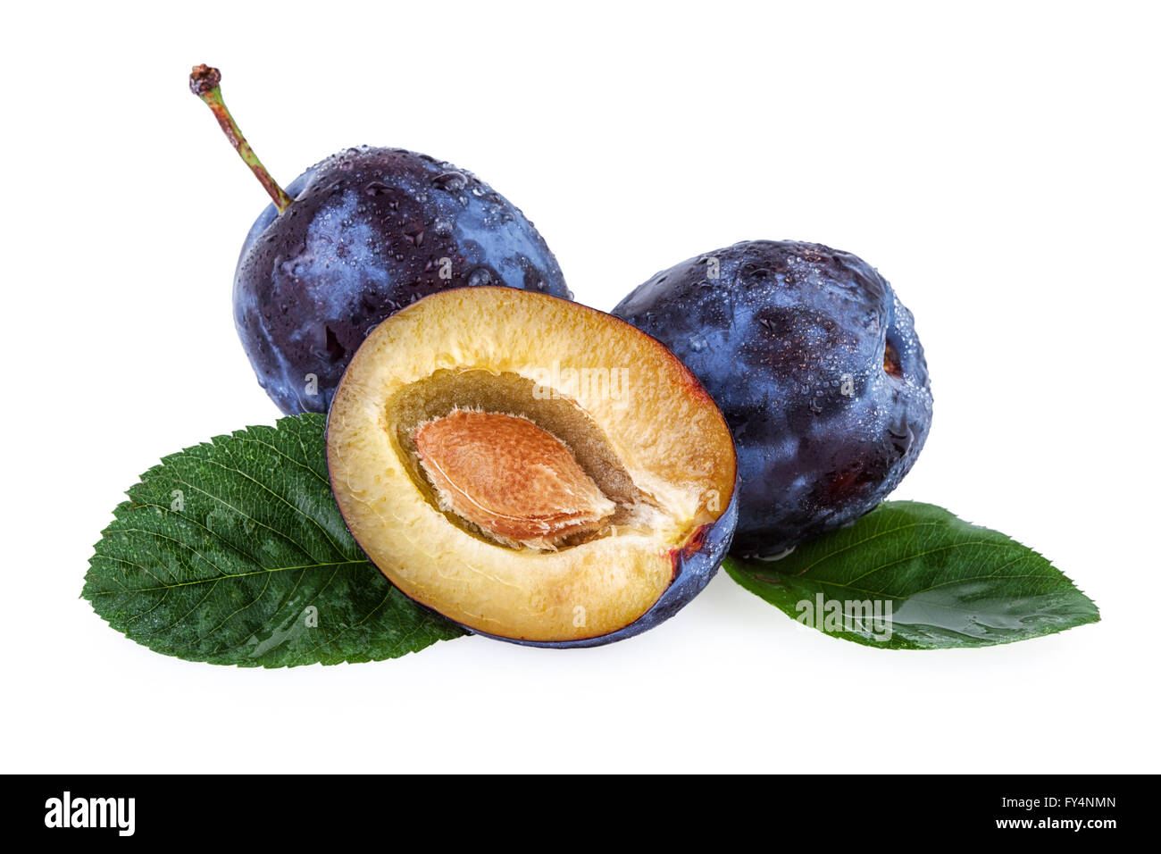 Plums closeup. Ripe plums fruit isolated on white background Stock ...
