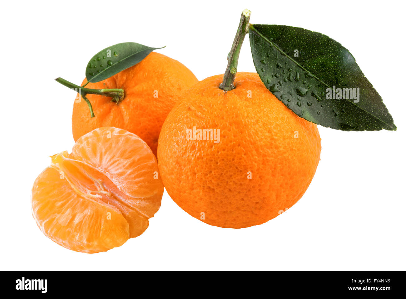Tangerine citrus reticulata hi-res stock photography and images - Alamy