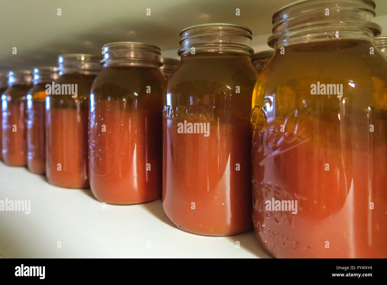 Canned Tomatoes, Home Pantry, USA Stock Photo - Alamy