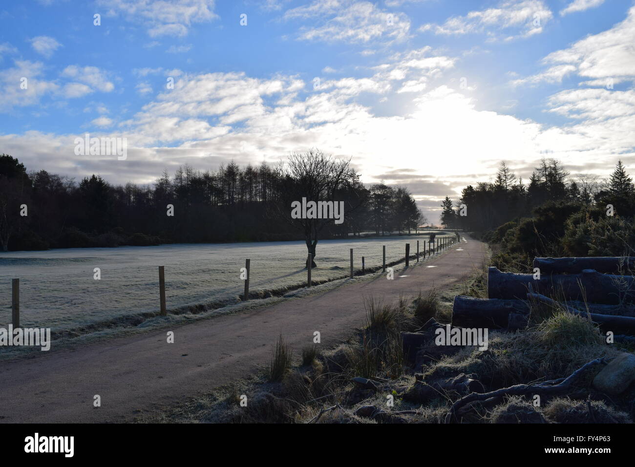 Hazelhead hi-res stock photography and images - Alamy