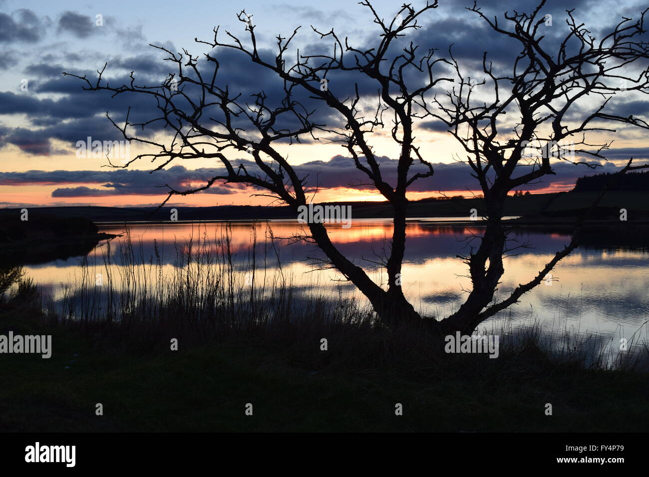 Forvie reserve hi-res stock photography and images - Alamy