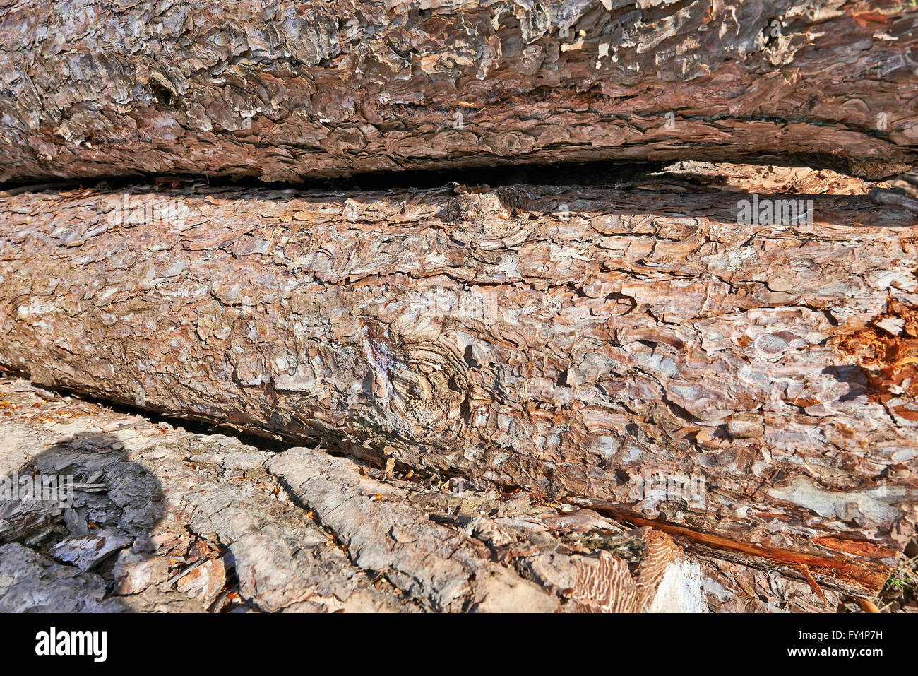 The cut and chopped fire wood are stacked in a heap Stock Photo - Alamy