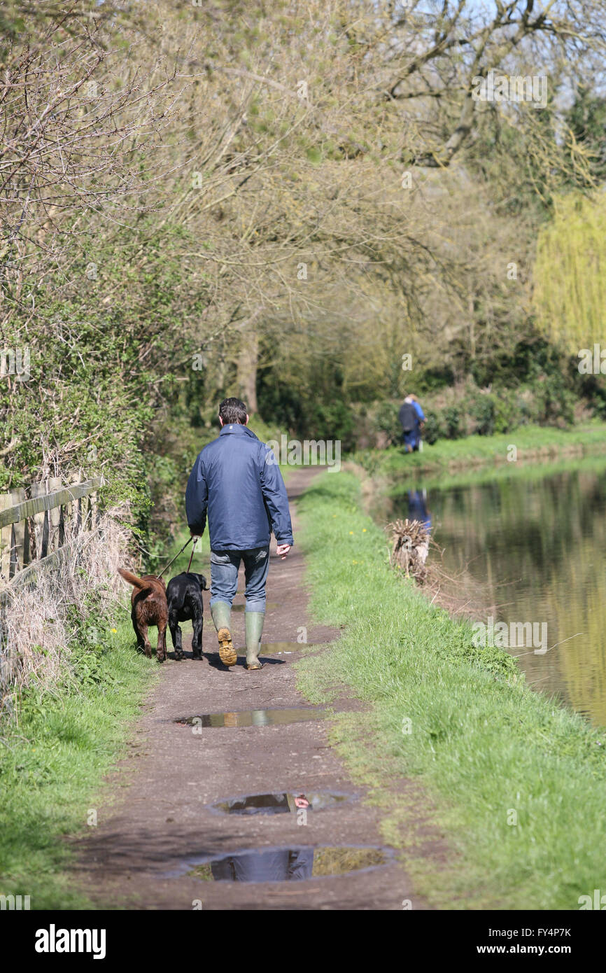 People walking with dogs a man walking his dog hi-res stock photography ...