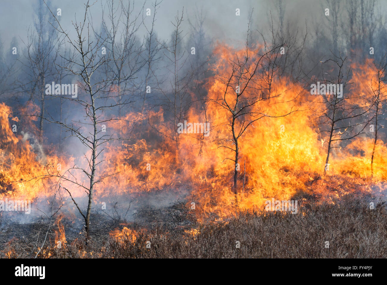 High flames and smoke Stock Photo - Alamy