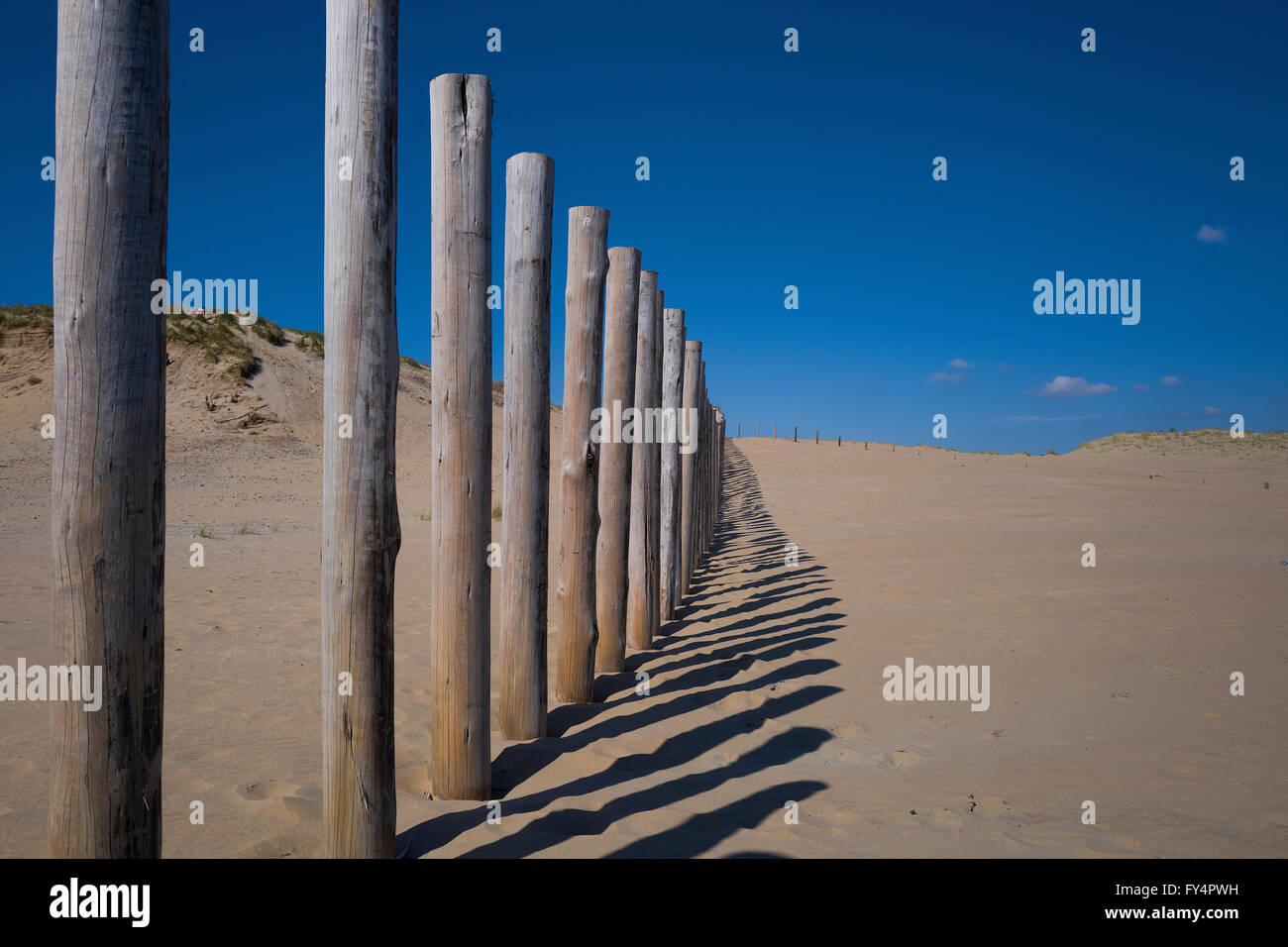 Dunes at the Dutch coast line Stock Photo - Alamy