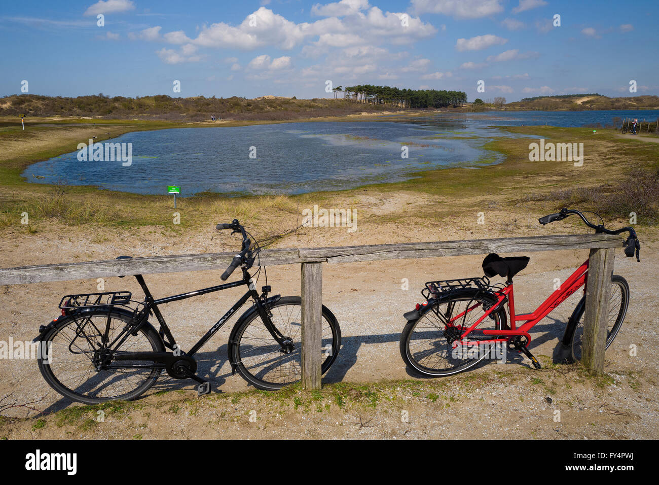 nature reserve 'Kennemerland' near the coast of Holland Stock Photo - Alamy