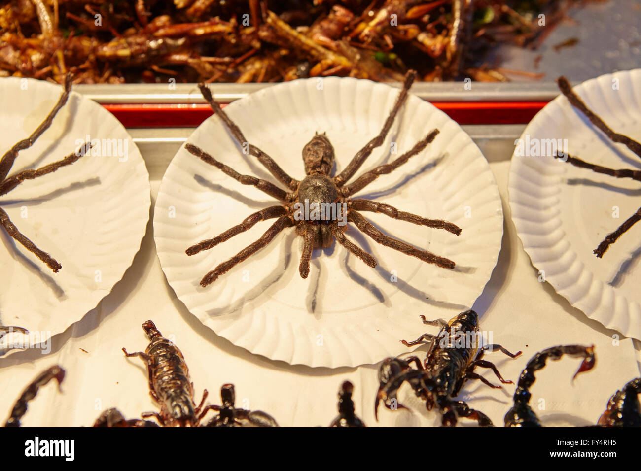 Fried Tarantula On A Stick