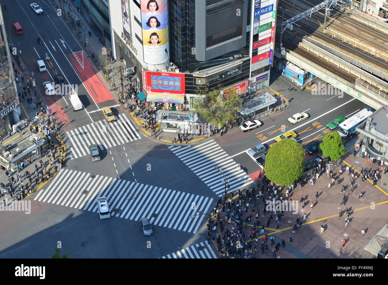 Shibuya Crossing, Tokyo, Japan Stock Photo - Alamy