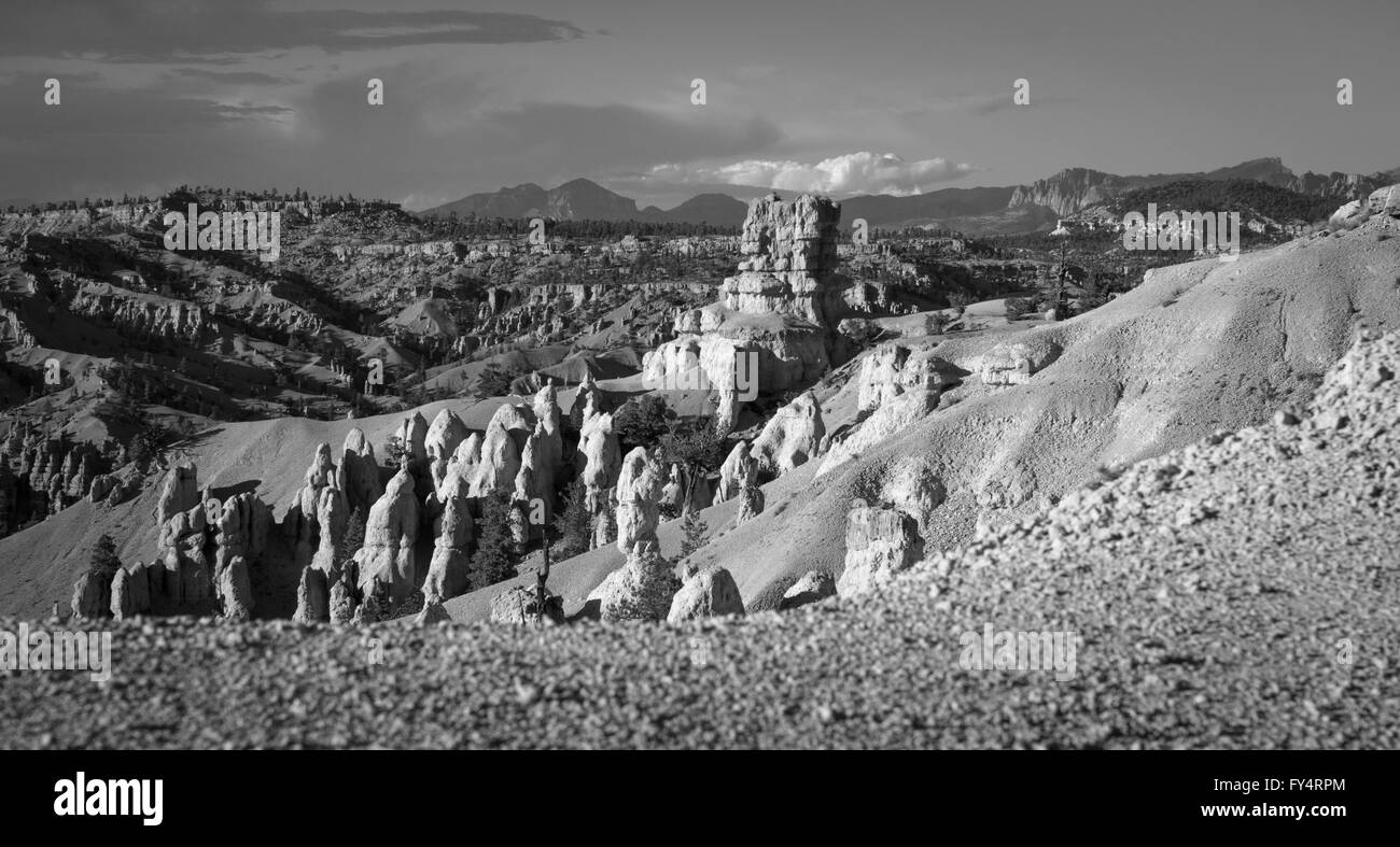 Across desert Black and White Stock Photos & Images - Alamy