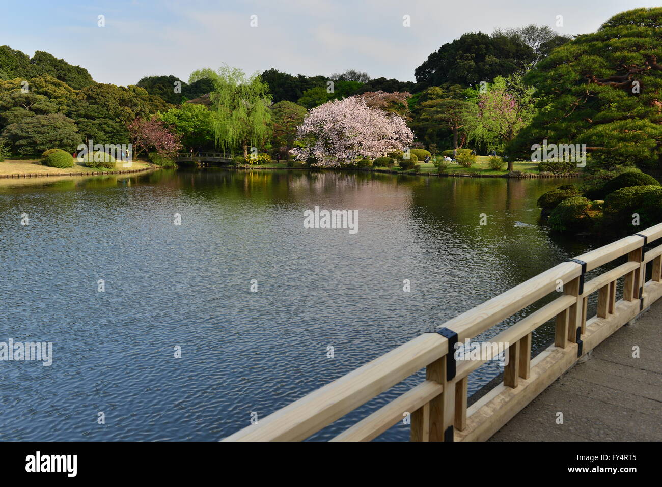 Shinjuku Gyoen, Tokyo, Japan Stock Photo - Alamy