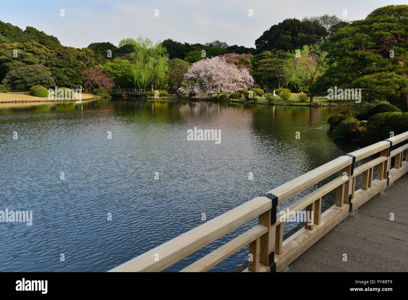 Shinjuku Gyoen, Tokyo, Japan Stock Photo - Alamy