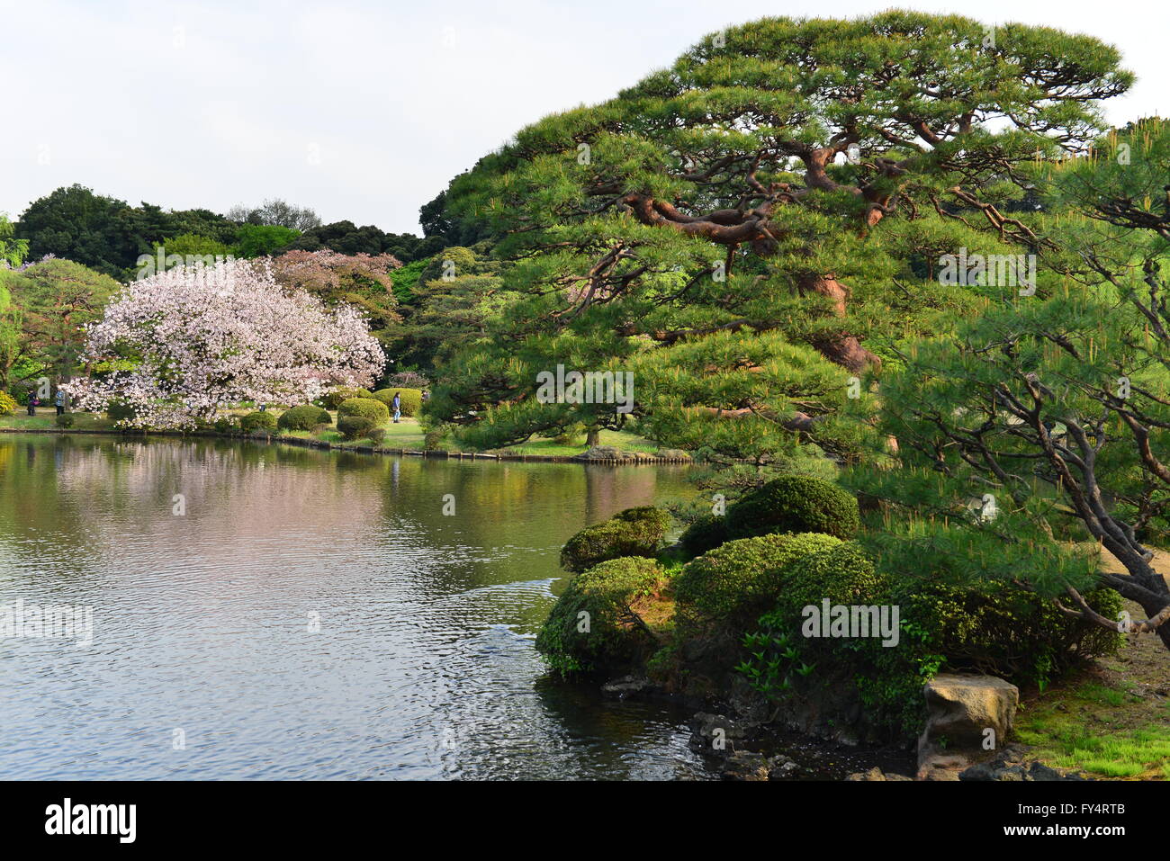 Shinjuku Gyoen, Tokyo, Japan Stock Photo - Alamy