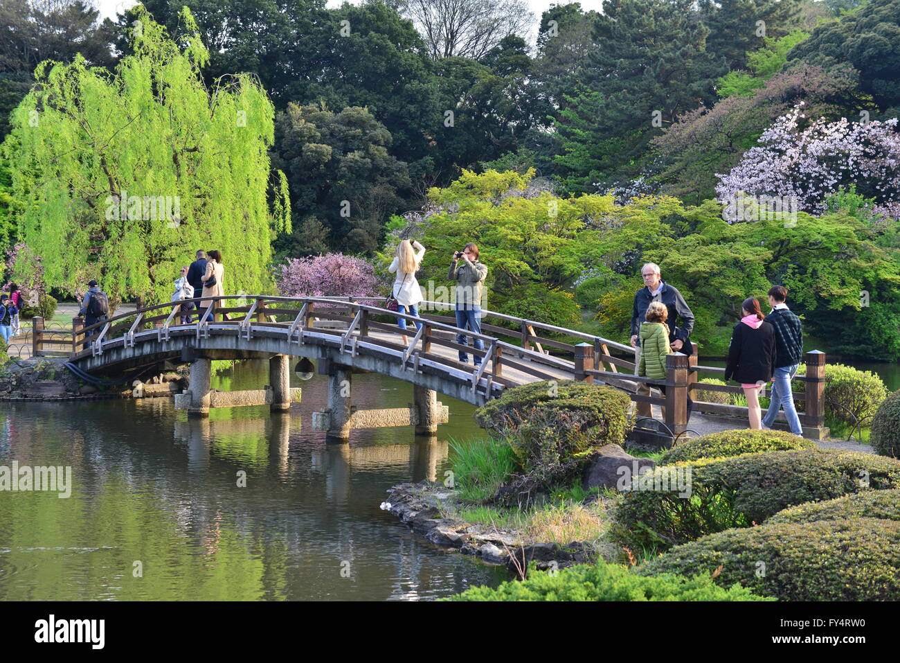Shinjuku Gyoen, Tokyo, Japan Stock Photo - Alamy