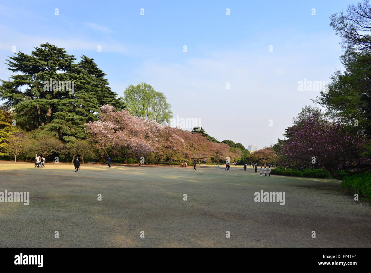 Shinjuku Gyoen, Tokyo, Japan Stock Photo - Alamy