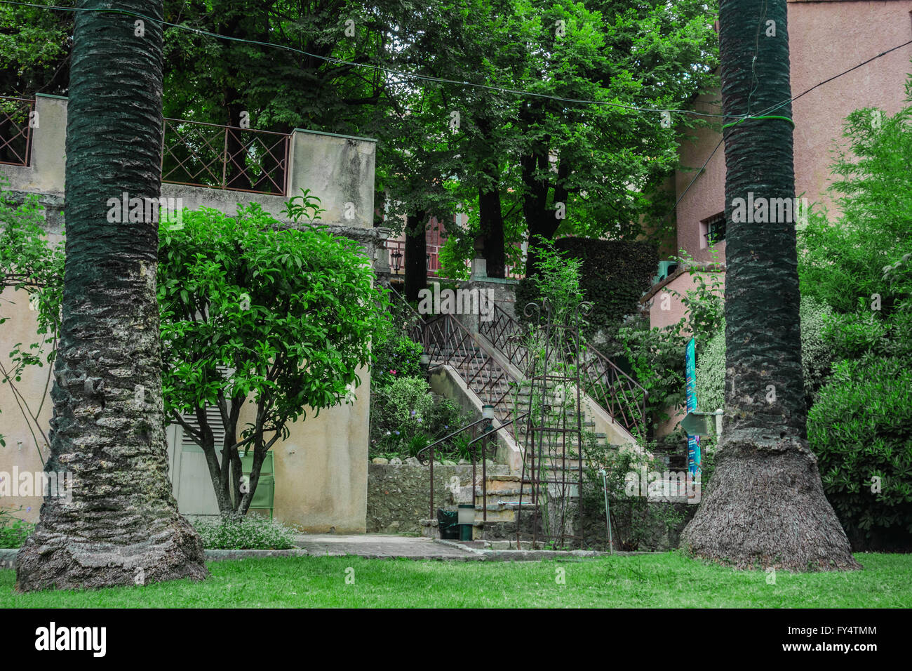 France, Grasse, ground in Museum of Perfume, palm trees elephant foot ...