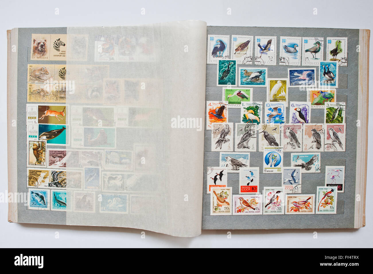 Collection of postage stamps in album printed from USSR Stock Photo - Alamy