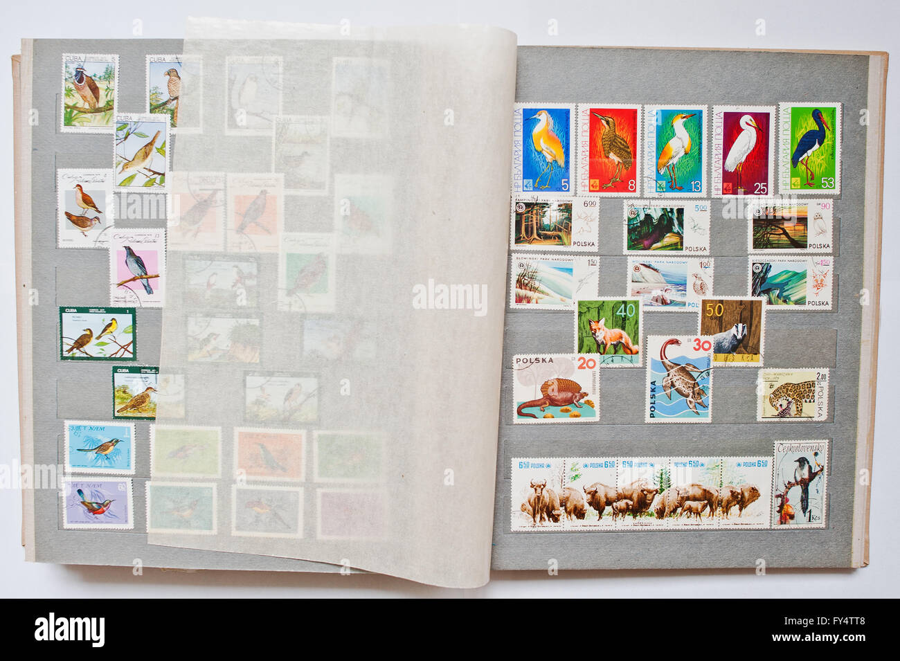 Collection of postage stamps in album from different countries and ...